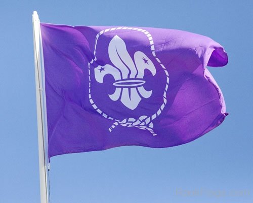 World Organization of the Scout Movement Flag - RankFlags.com – Collection of Flags