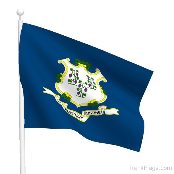 Connecticut State Flag - RankFlags.com – Collection of Flags