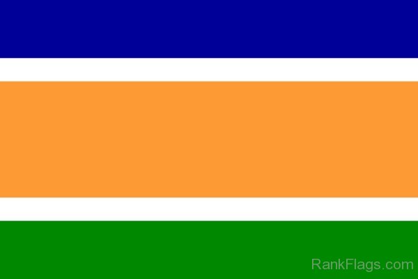 Maharashtra Navnirman Sena Flag - RankFlags.com – Collection of Flags