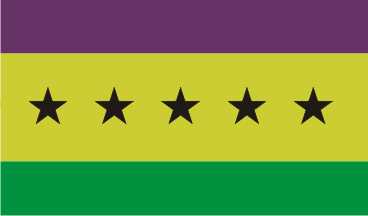 Community Of Sahel-Saharan States (CEN-SAD) Flag - RankFlags.com ...