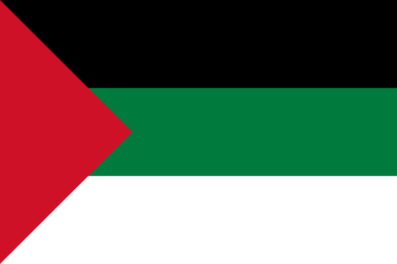 Flag Of Hejaz - RankFlags.com – Collection of Flags